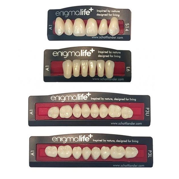 Enigmalife+ Teeth - Shade A4 – Dental Store