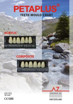 MOULD CHART – Dental Store
