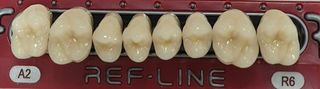 REF-LINE Teeth Upper Posteriors Size-R-Q – Dental Store