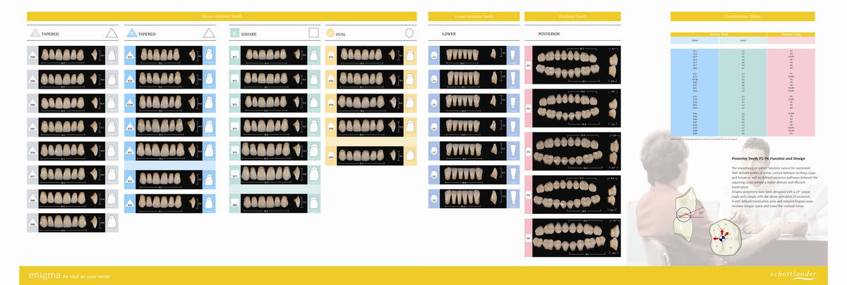 MOULD CHART – Dental Store